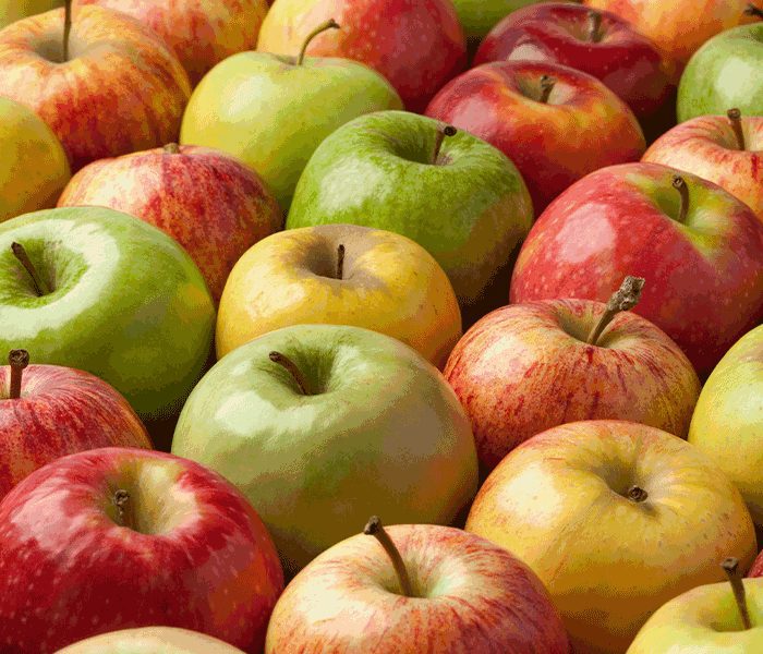 Food Sorting - Prophotonix