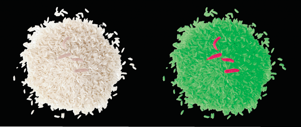 How to Implement Multispectral Machine Vision Successfully | ProPhotonix